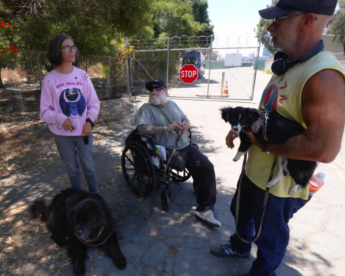 What Is Chronic Homelessness? Definition, Solutions, and How Dreams for ...