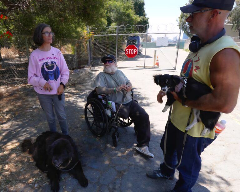 What Is Chronic Homelessness? Definition, Solutions, and How Dreams for ...